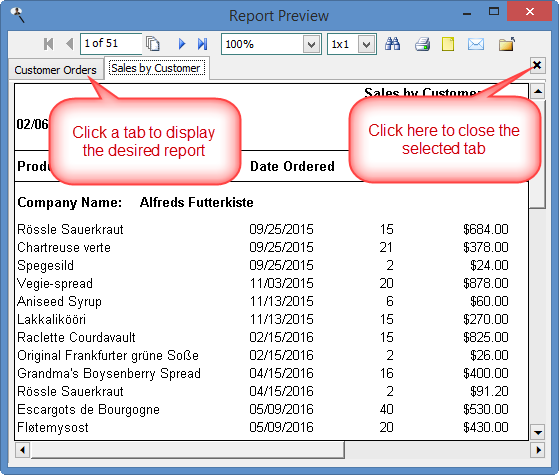Previewing a Report - Reporting4Act!